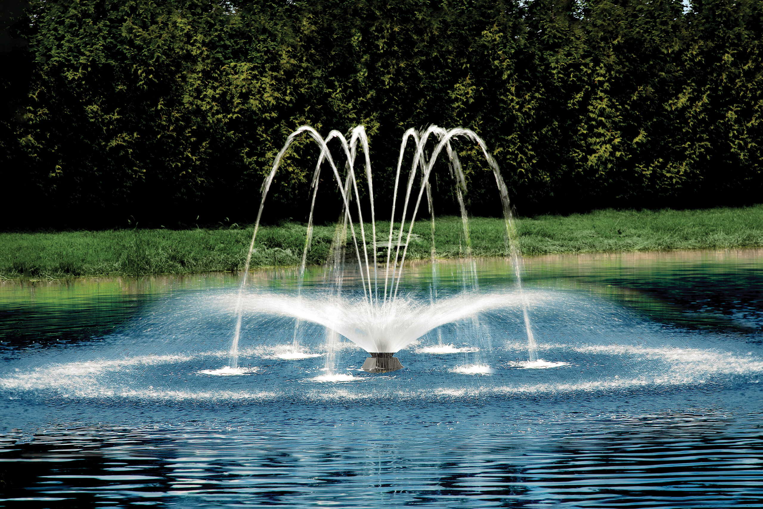 Fusion Lily During the Day – World Leading Manufacturer of Fountains ...