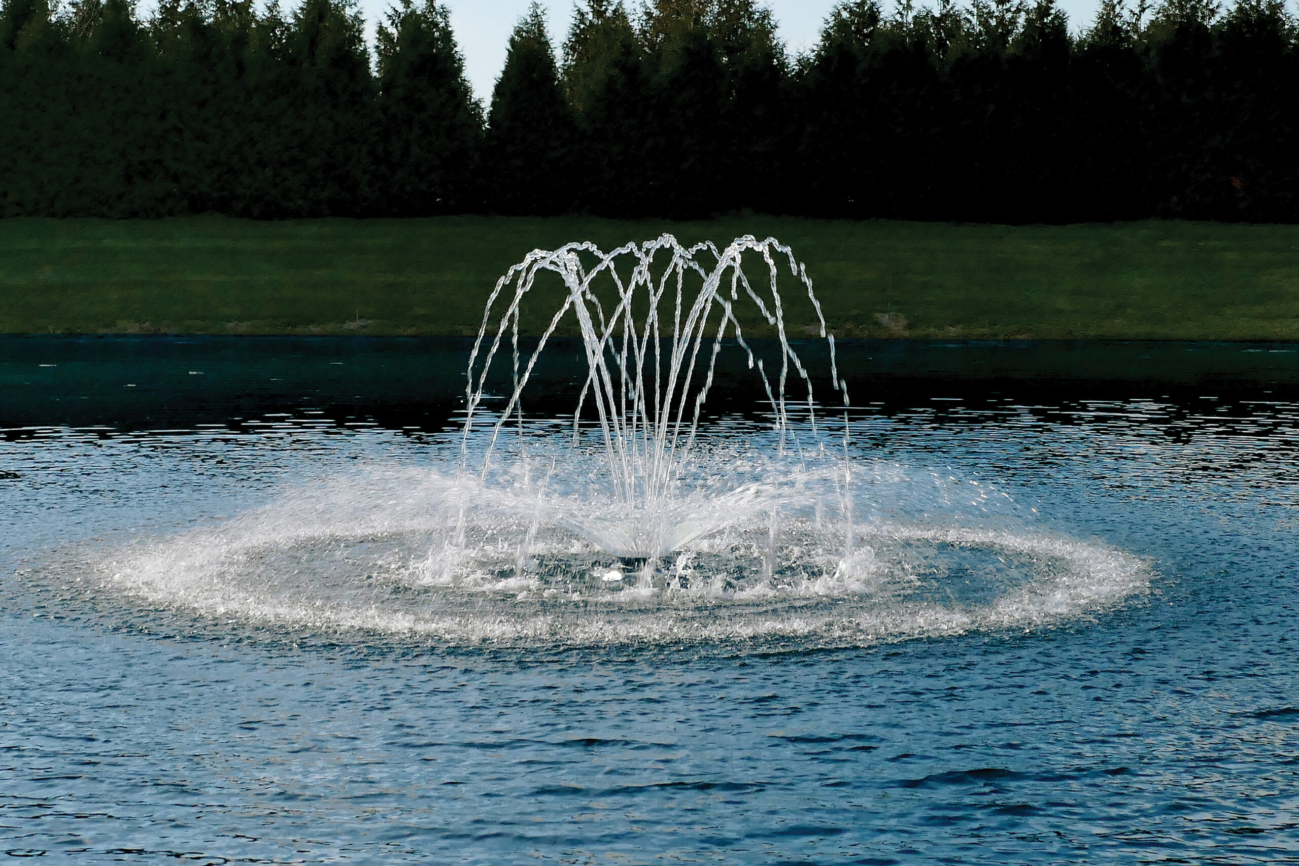 Fusion Super Lily Twister During the Day – World Leading Manufacturer ...