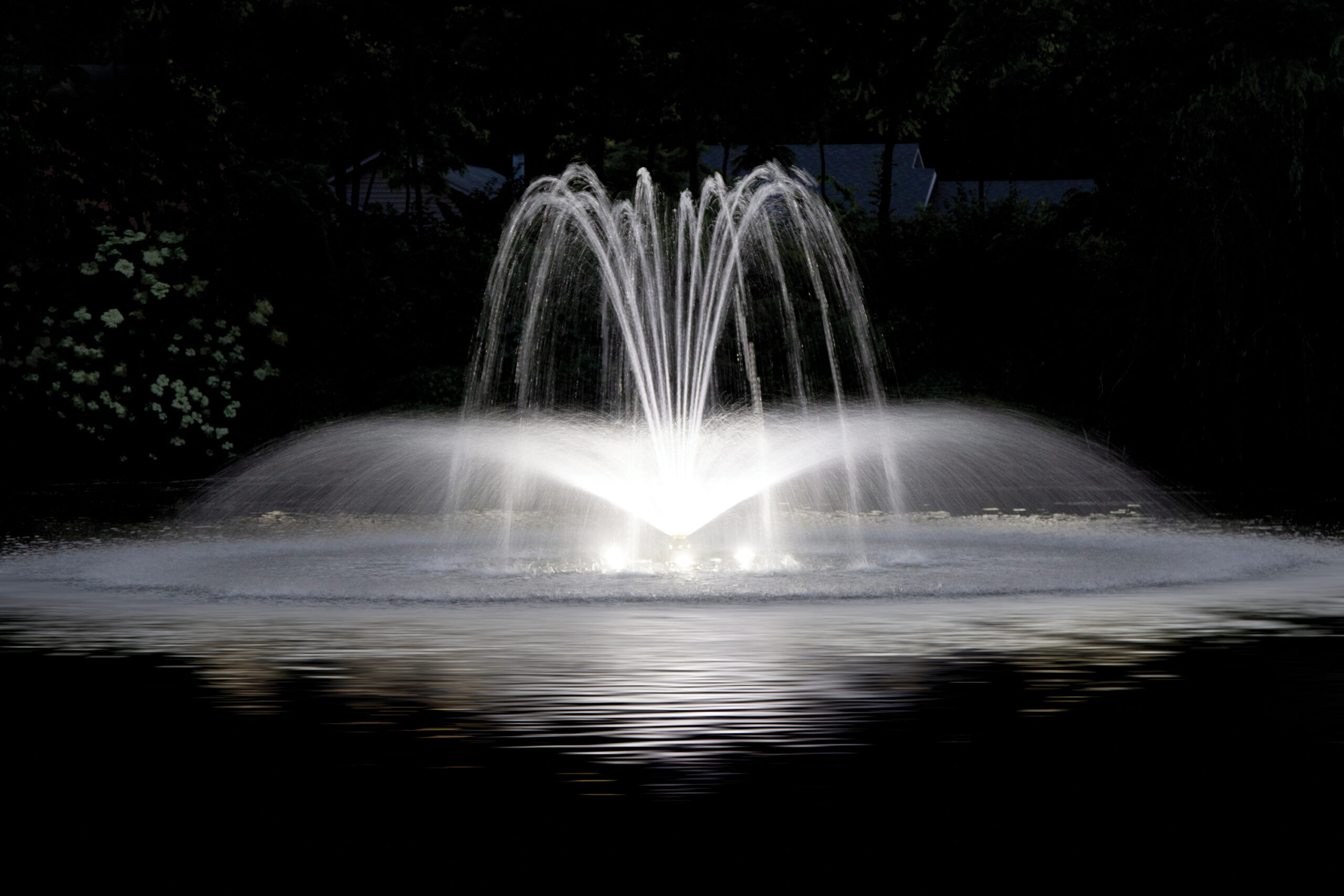 Select Series 2 Super Lily at Night – World Leading Manufacturer of ...