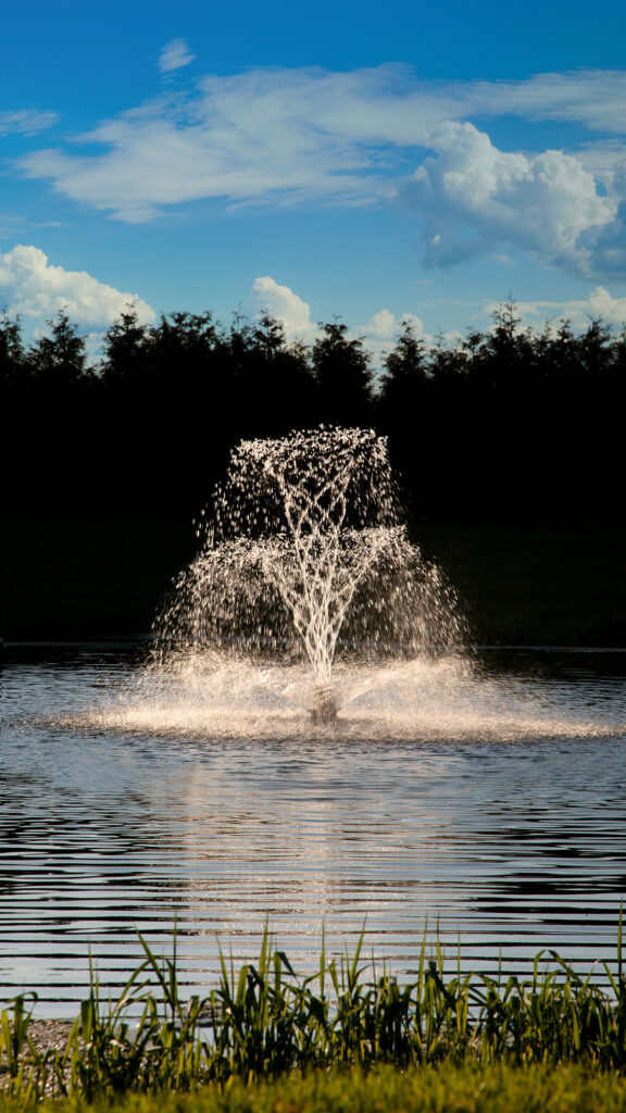 Fusion Double Arch Lily Twisting – World Leading Manufacturer of ...