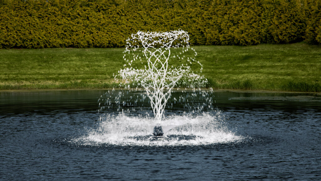 Fusion Double Arch Lily Twisting – World Leading Manufacturer of ...