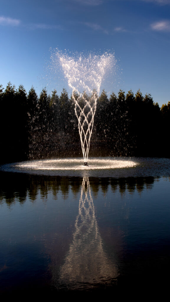 Fusion Cluster Arch Twisting – World Leading Manufacturer of Fountains ...