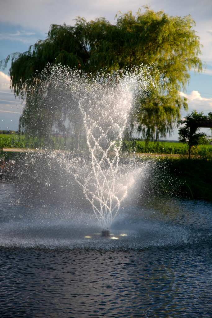 Fusion Double Arch Twisting – World Leading Manufacturer of Fountains ...