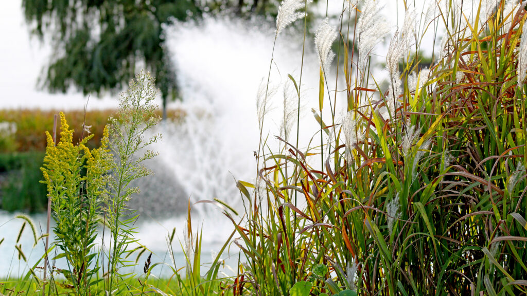 Fusion Double Arch Twisting – World Leading Manufacturer of Fountains ...