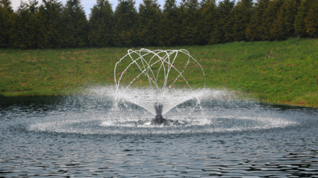 Fusion Lily Twisting – World Leading Manufacturer of Fountains and ...