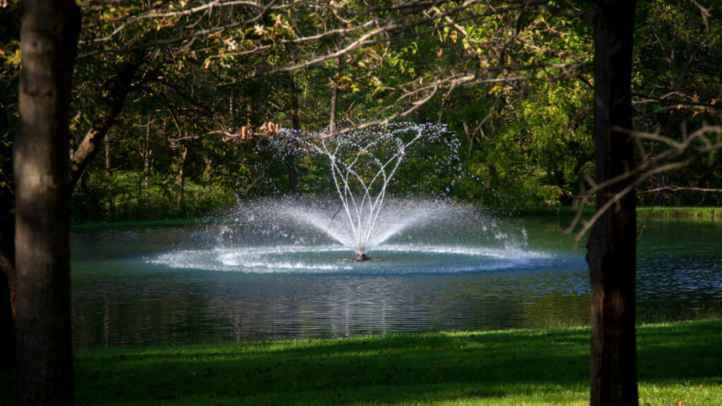 Fusion Lily Twisting – World Leading Manufacturer of Fountains and ...