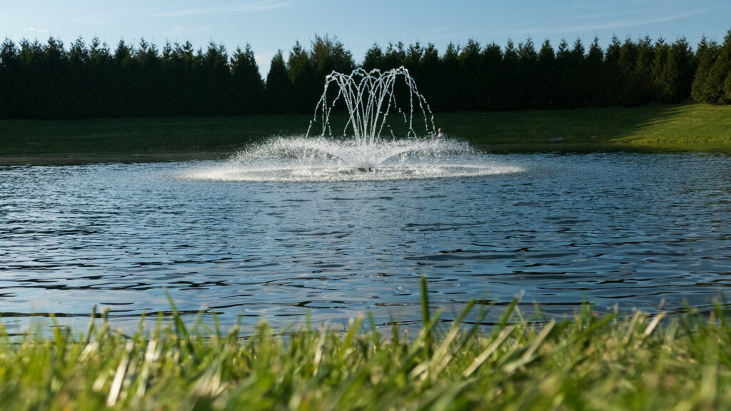 Fusion Super Lily Twisting – World Leading Manufacturer of Fountains ...