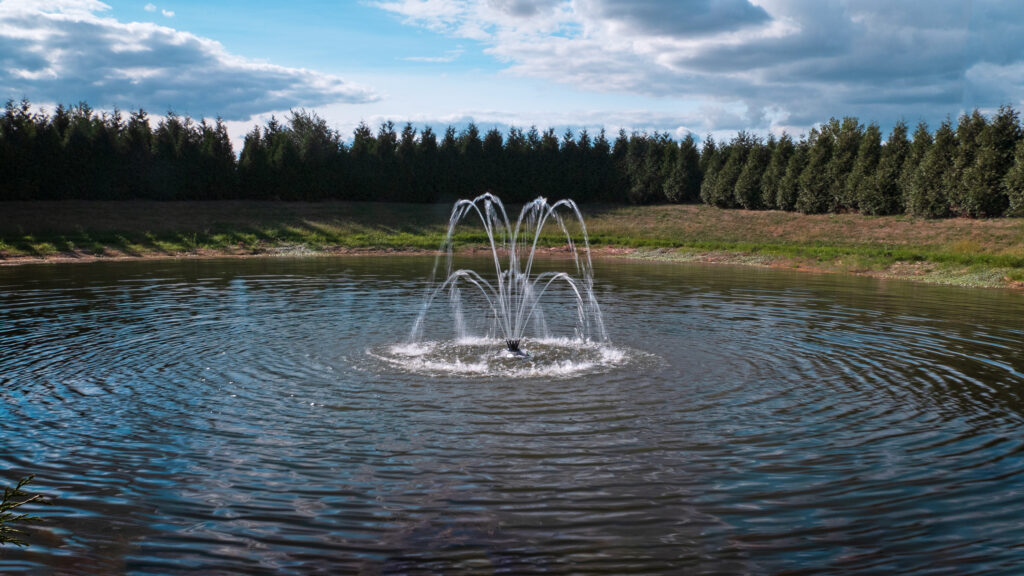 Fusion Weeping Willow Twisting – World Leading Manufacturer of ...