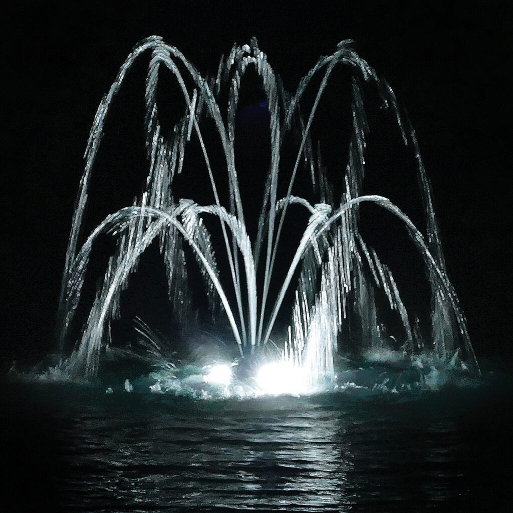 Fusion Weeping Willow Twisting – World Leading Manufacturer of ...