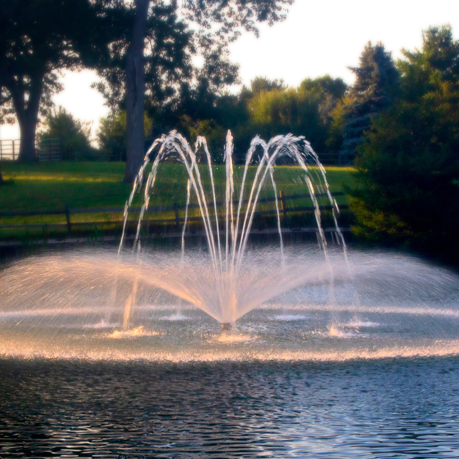 SameSeries Select Series 2 Lily During the Day – World Leading ...