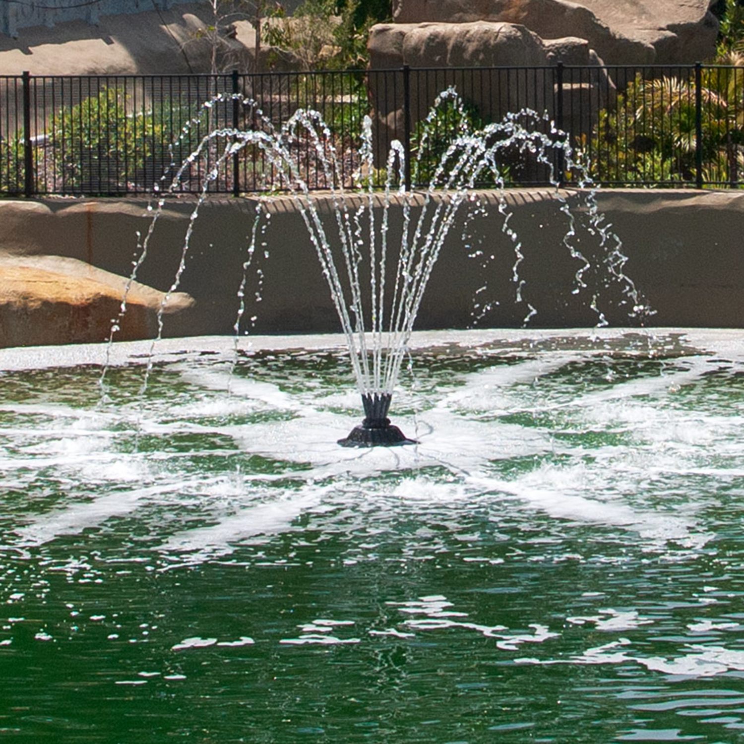 SameSeries Stationary Fountain Select Series Trellis During the Day ...